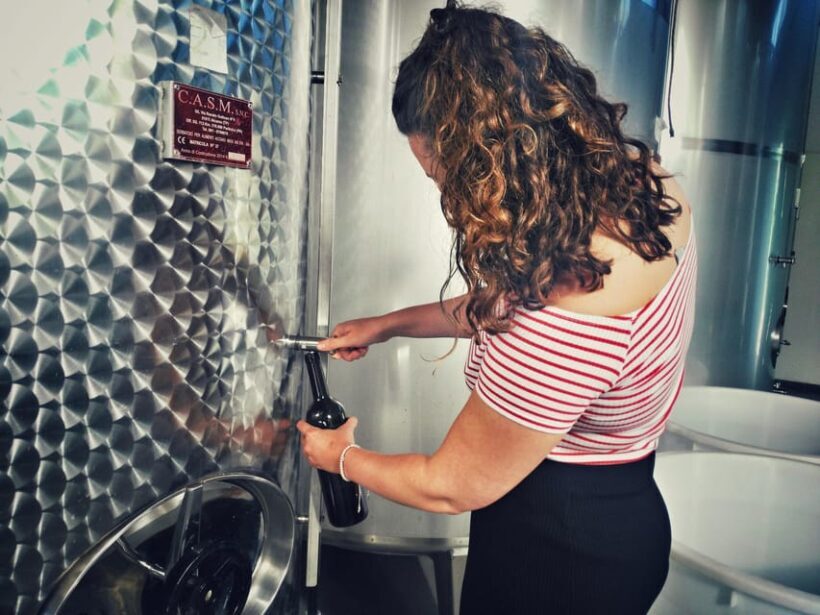 Incredible experience in a organic company - Discovering Quattrocieli: The Heart of Sicilian Organic Winemaking