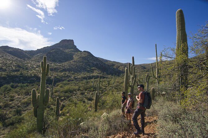 Incredible Hidden Valley Guided Hike in Phoenix, Arizona - Exploring the Sonoran Desert with Mad Desert Trekking