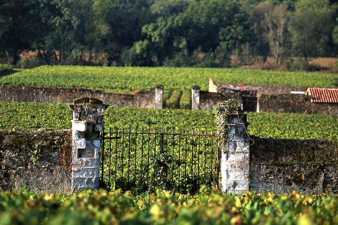Incredible Loire Castles Tour With Wine Tastings and Lunch - Important Details