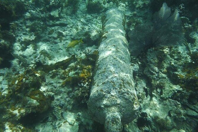 Incredible Negril Guided Snorkeling To Reef, Anchor, and Cannon - The Sum Up: Is This Tour Worth Your Time?