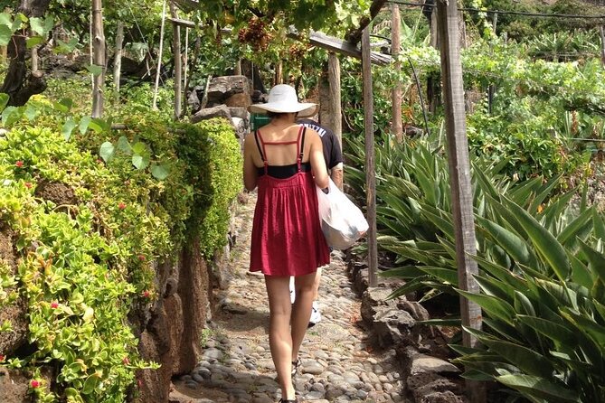 Incredible Tour to a Faja With a Story - Uncovering the Jesuit Legacy