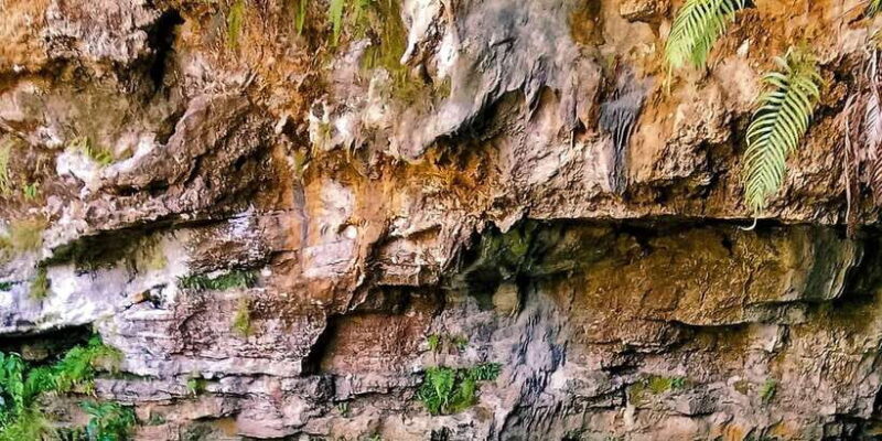 Incredibly Jomblang Cave and Pindul Cave Tubing - Key Points