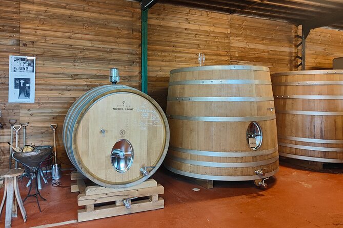 Independent wine tour, cellar and tasting in the vineyards - Key Points