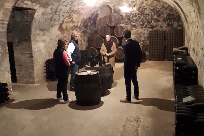 Independent wine tour, cellar and tasting in the vineyards - Who This Tour Is Best For