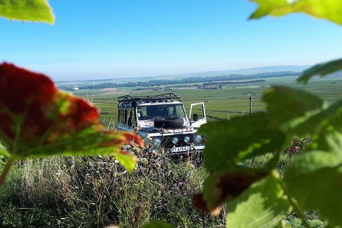 Independent wine tour, cellar and tasting in the vineyards - The Sum Up
