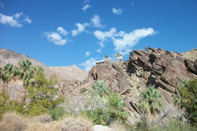 Indian Canyons Hiking Tour by Jeep from Palm Desert - The Sum Up: Who Should Consider This Tour?