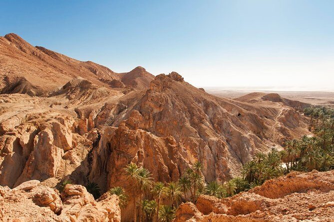 Indian Canyons Hiking Tour by Jeep from Palm Springs - The Itinerary: What You’ll Experience