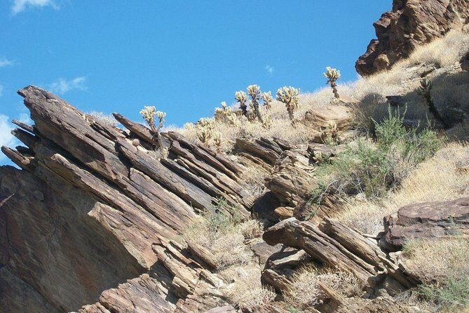 Indian Canyons Hiking Tour by Jeep from Palm Springs - Practical Details: What You Need to Know