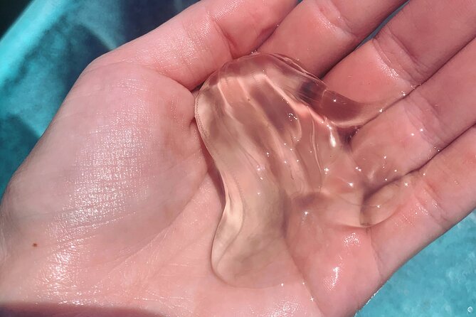 Indian River Clear Bottom Kayak or Paddleboarding Manatee and Dolphin Tour - Key Points