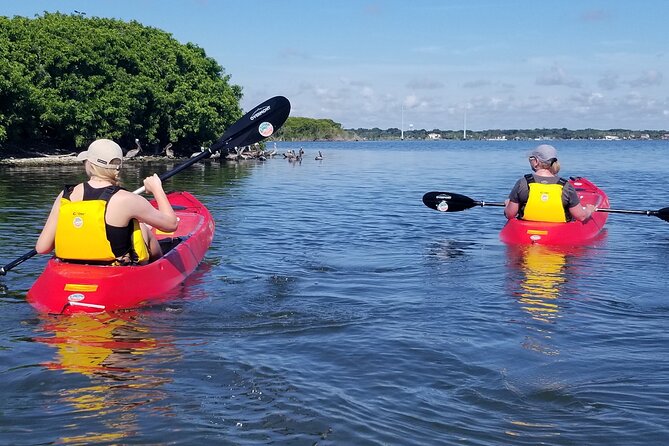 Indian River Clear Bottom Kayak or Paddleboarding Manatee and Dolphin Tour - Final Thoughts: Is It Worth It?