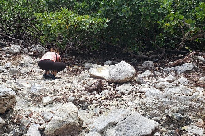 Indian River, Cold Soufriere & Fort Shirley (Northern Excursion) - The Sum Up