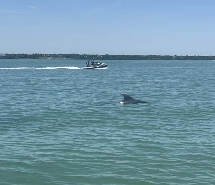 Indian Rocks Beach: Guided Jet Ski Adventure - The Tour Itself: What to Expect