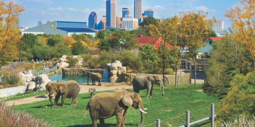 Indianapolis: 3-Day Indy Attraction Pass - What Attractions Are Included?