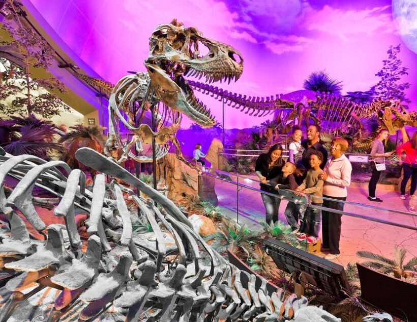 Indianapolis: 3-Day Indy Attraction Pass - Whats the Experience Like?