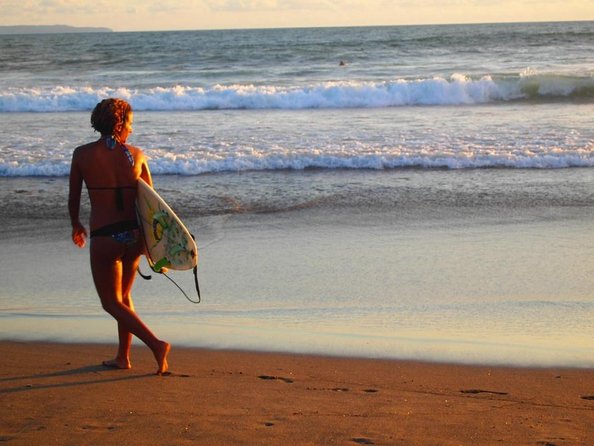 Individual Bali Day Trip with Private Driver and Free WiFi - Introduction