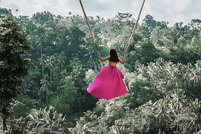 Individual Bali Day Trip with Private Driver and Free WiFi - Real Travelers’ Perspectives