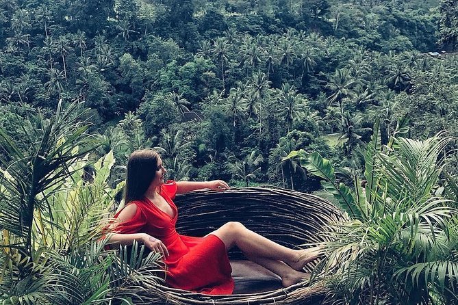 Individual Bali Day Trip with Private Driver and Free WiFi - Why This Tour Works for You