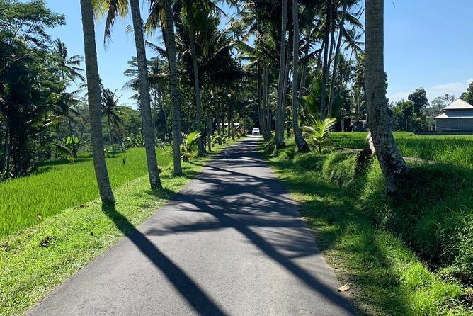 Individual Bali Day Trip with Private Driver and Free WiFi - Final Thoughts