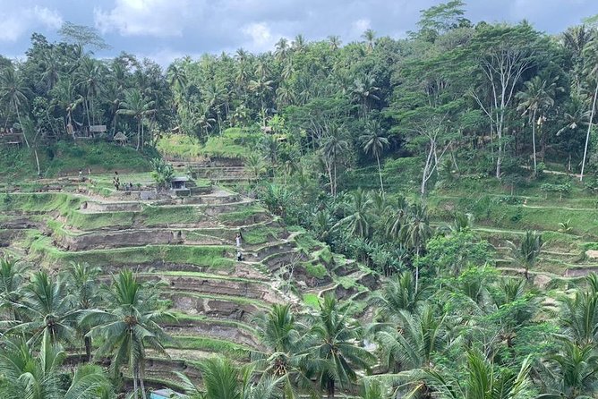 Individual Bali Day Trip with Private Driver and Free WiFi - FAQ