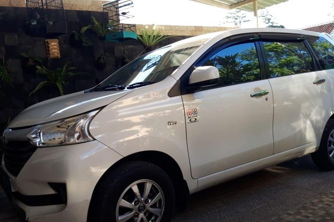 Individual Bali Day Trip with Private Driver and Free WiFi - Final Word