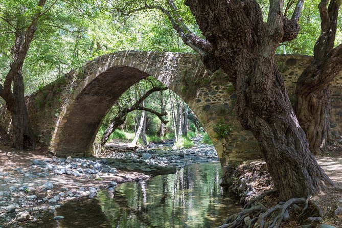 Individual Tours From Paphos - Delicious Local Cuisine and Wine Tasting