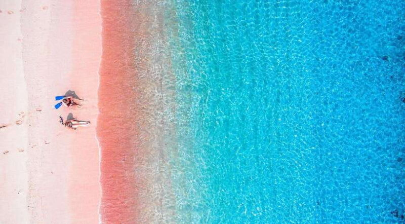 Indonesia: 20-Day Island Hopping Adventure from Bali - Wildlife Encounters: Komodo Dragons, Whale Sharks, and More