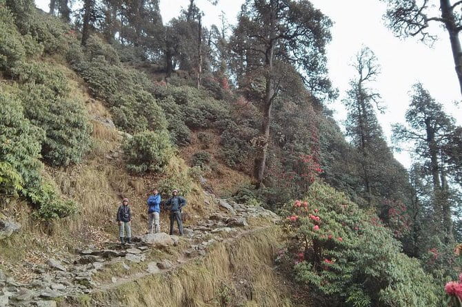 Indrahar Pass Trek with Manu Adventures India - Who Should Consider This Trek?