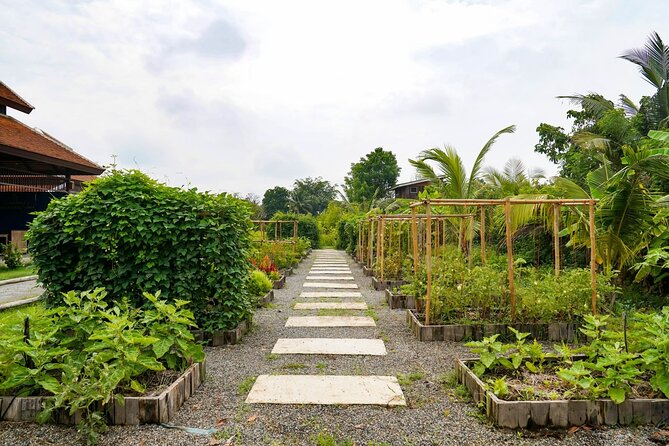 Indulge in Authentic Thai Flavors and Serene Organic Farm (Full Day Course) - Final Thoughts