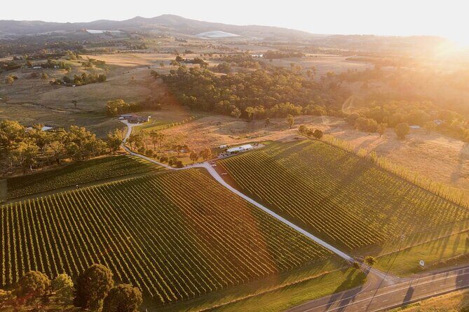 Indulge with Swinging Bridge - A Well-Balanced Experience for Wine Lovers