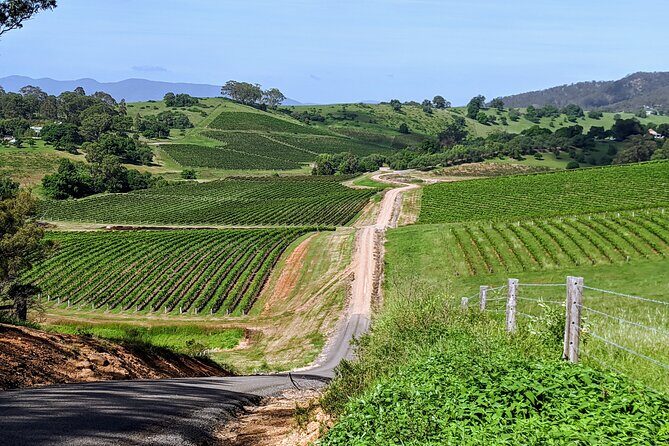 Indulge with Swinging Bridge - Who Should Consider This Tour?