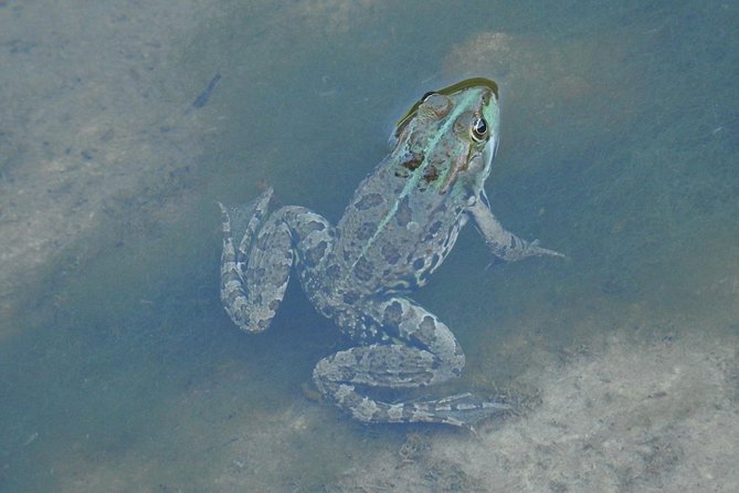 Inflatable boat excursion Gole di Tiberio on the Madonie near Cefalù - Final Thoughts