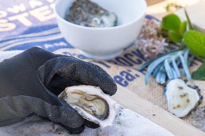 Informative Oyster Activity: Handling, Shucking & Storing + Kayaking - Why Choose This Tour?