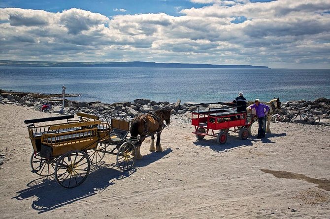 Inis Mór (Aran Islands) Day Trip: Return Ferry From Rossaveel, Galway - Booking and Cancellation Policy