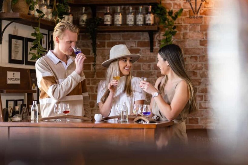 Ink Gin Experience at Husk Farm Distillery - Key Points