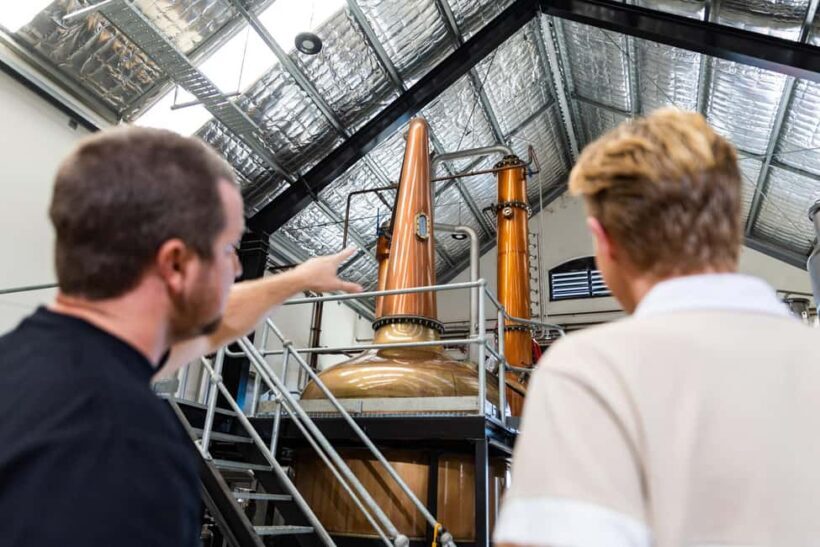 Ink Gin Experience at Husk Farm Distillery - Who Should Consider This Tour?
