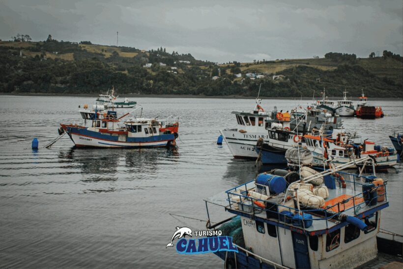 Inner Coast of Chiloé: Road and Sea. - Final Thoughts: Who Should Consider This Experience?