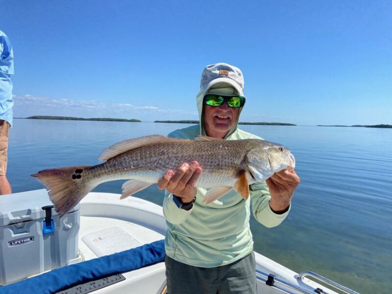 Inshore Fishing Half Day - Exploring the Inshore Fishing Half Day: A Genuine Florida Experience