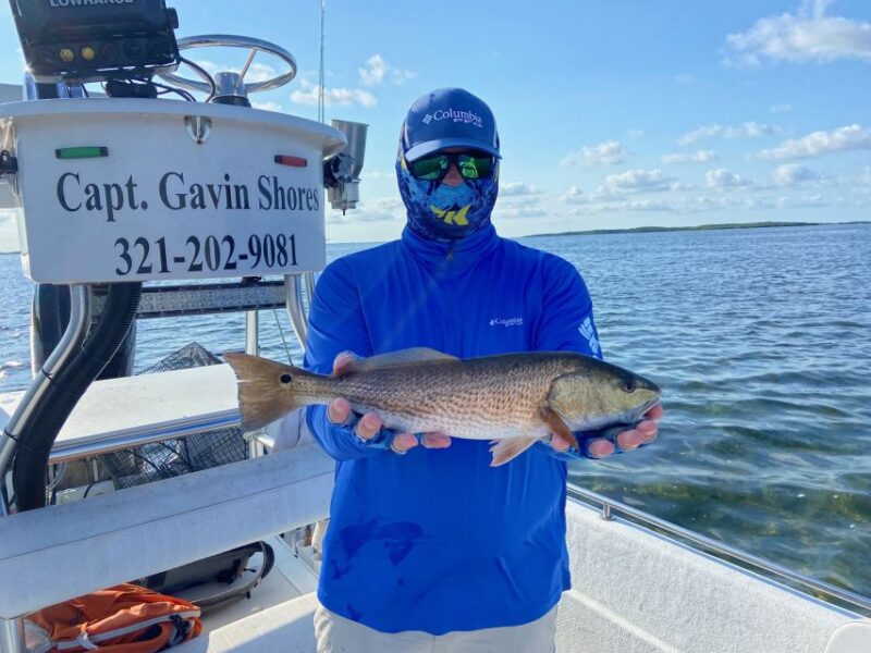 Inshore Fishing Half Day - The Vessel and the Setting