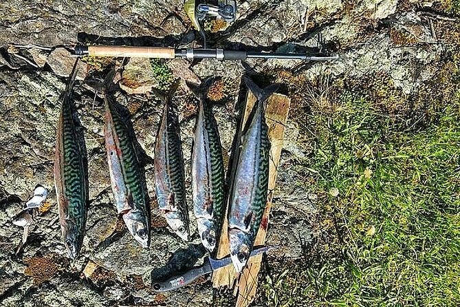 Inshore fishing in the Drangefjord - The Sum Up