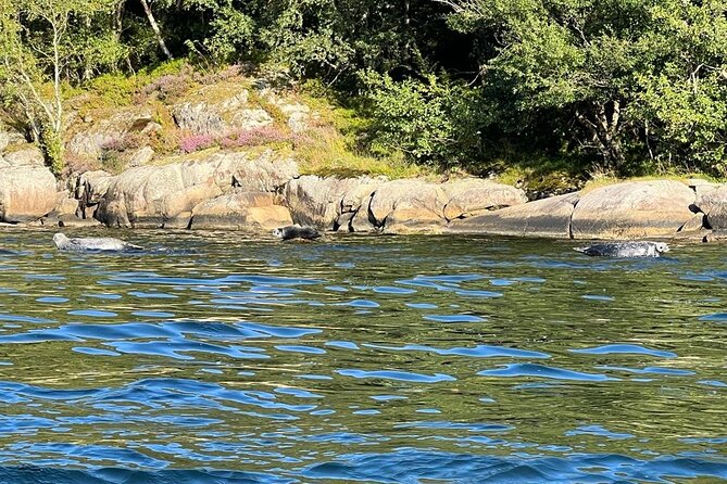 Inshore fishing in the Drangefjord - Frequently Asked Questions