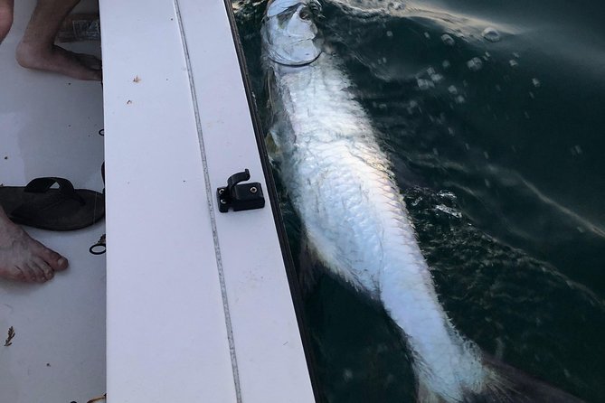 Inshore Sport Fishing with Local Guide - Pricing and Value