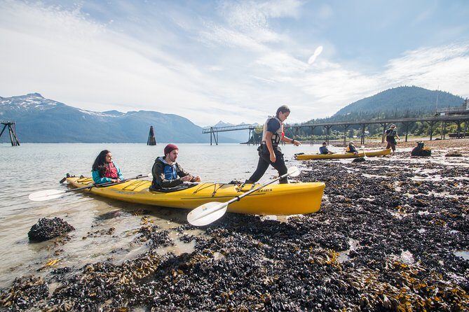 Inside Passage Sea Kayaking from Skagway - What the Reviews Say