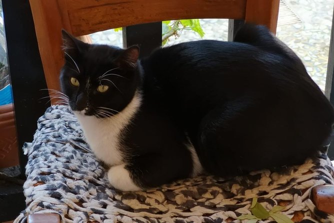 Inside the Buffer Zone of Nicosia - Exploring the Divided City