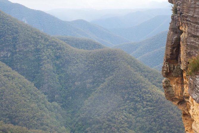 Inside the Greater Blue Mountains World Heritage - A Private Wildlife Safari Overnight - Final Thoughts