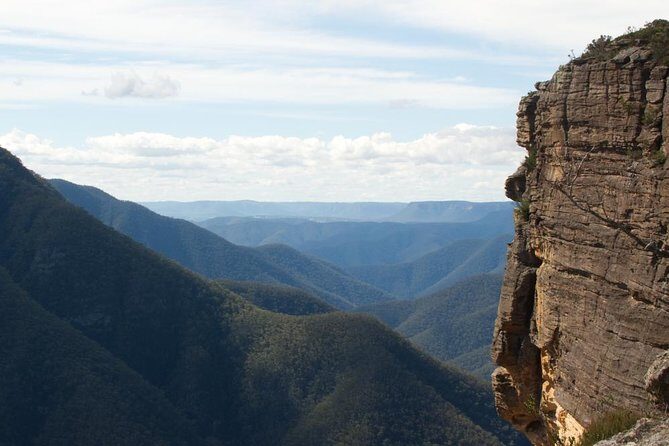 Inside the Greater Blue Mountains World Heritage - A Wildlife Safari Overnight - Discovering the Blue Mountains on an Overnight Wildlife Safari