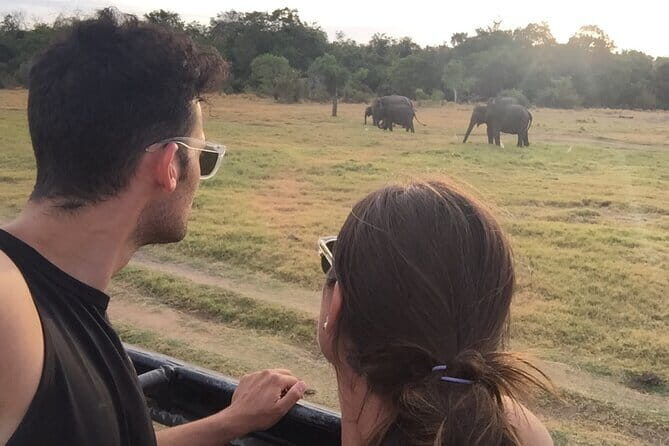 Instagrammable Kandy by Tuk-Tuk (Private & All-Inclusive) - The Sum Up: Who Will Love This Tour?