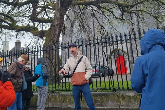 Instant Galway 60 min Walking Tour - Practical Details and Tips