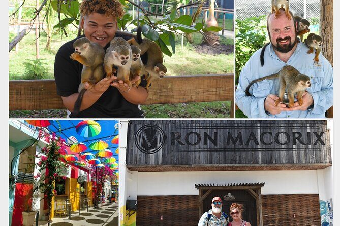 Interaction with Monkey Tour & city tour in Puerto Plata - Introduction