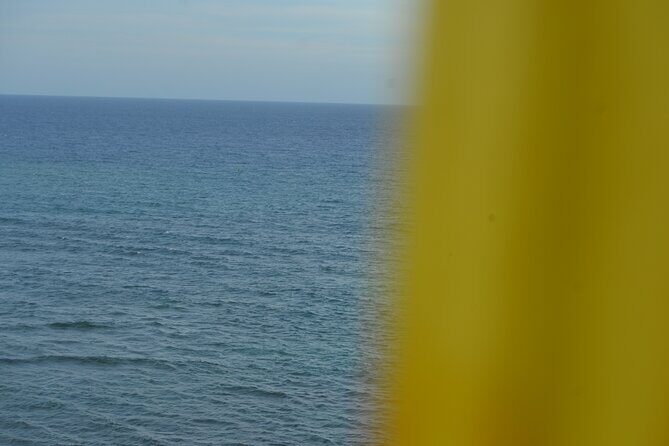 Interaction with Monkeys and Historic City Tour of Puerto Plata - Who should consider this tour?