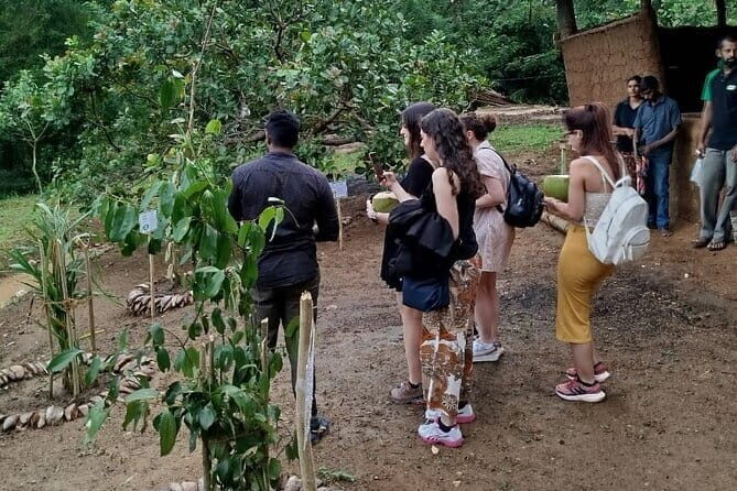 Interactive Cinnamon and Spices Experience at Warala Watta Farm - Analyzing the Value